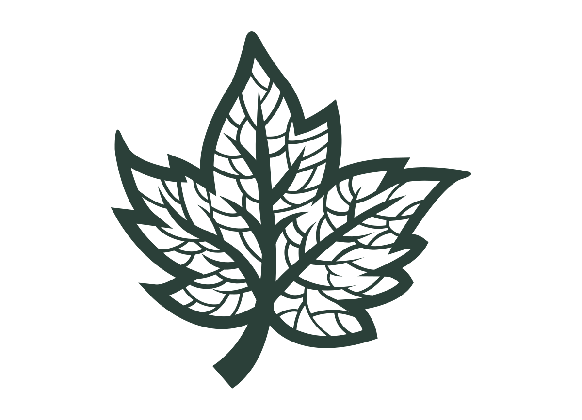 MD 4 ME - Booking and Patient Home (Portal) Access | Cortico